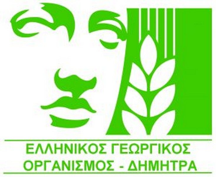 Με μεταβατική αντιπρόεδρο ο ΕΛΓΟ-ΔΗΜΗΤΡΑ μετά την παραίτηση Μπόκα ...