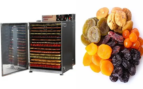 commercial fruit dryer machine with complete explanations and familiarization - Arad Branding