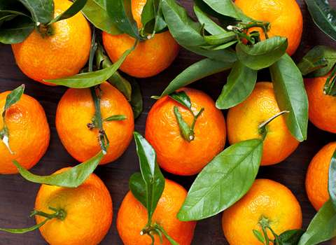 Clementine Oranges with Complete Explanations and Familiarization - Arad Branding