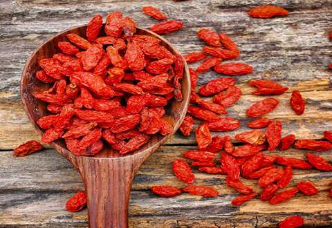 goji berry with Complete Explanations and Familiarization - Arad Branding