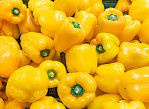yellow bell pepper with Complete Explanations and Familiarization - Arad Branding