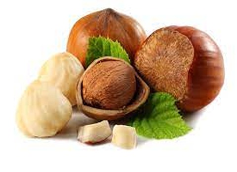 York hazelnut with Complete Explanations and Familiarization - Arad Branding