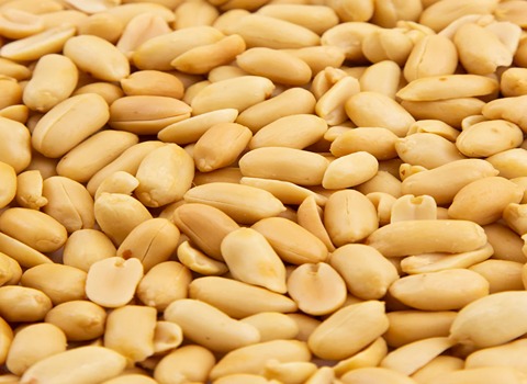 Virginia Peanut with Complete Explanations and Familiarization - Arad Branding