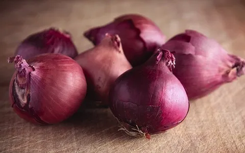 bitter red onion with complete explanations and familiarization - Arad Branding