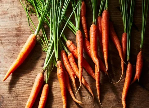 Carrot raw vegetables with complete explanations and familiarization - Arad Branding