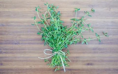 Price and purchase dried thyme leaves in tagalog with complete specifications - Arad Branding
