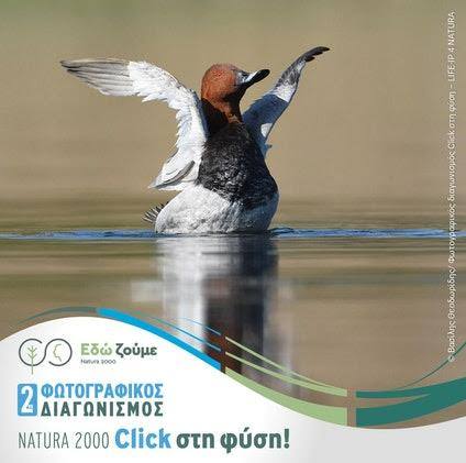 Διαγωνισμός φωτογραφίας: Στις περιοχές Natura 2000