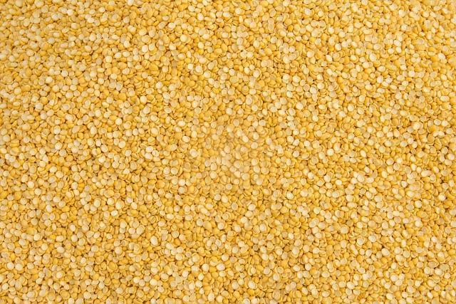 Φάβα: Το όσπριο από την Αμοργό που κάνει τη διαφορά