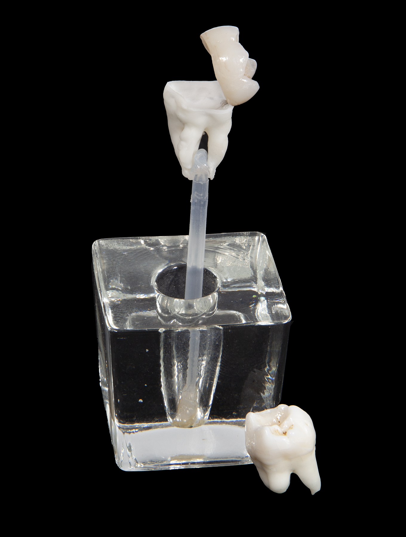 SOVIET KGB SPY SUICIDE TOOTH