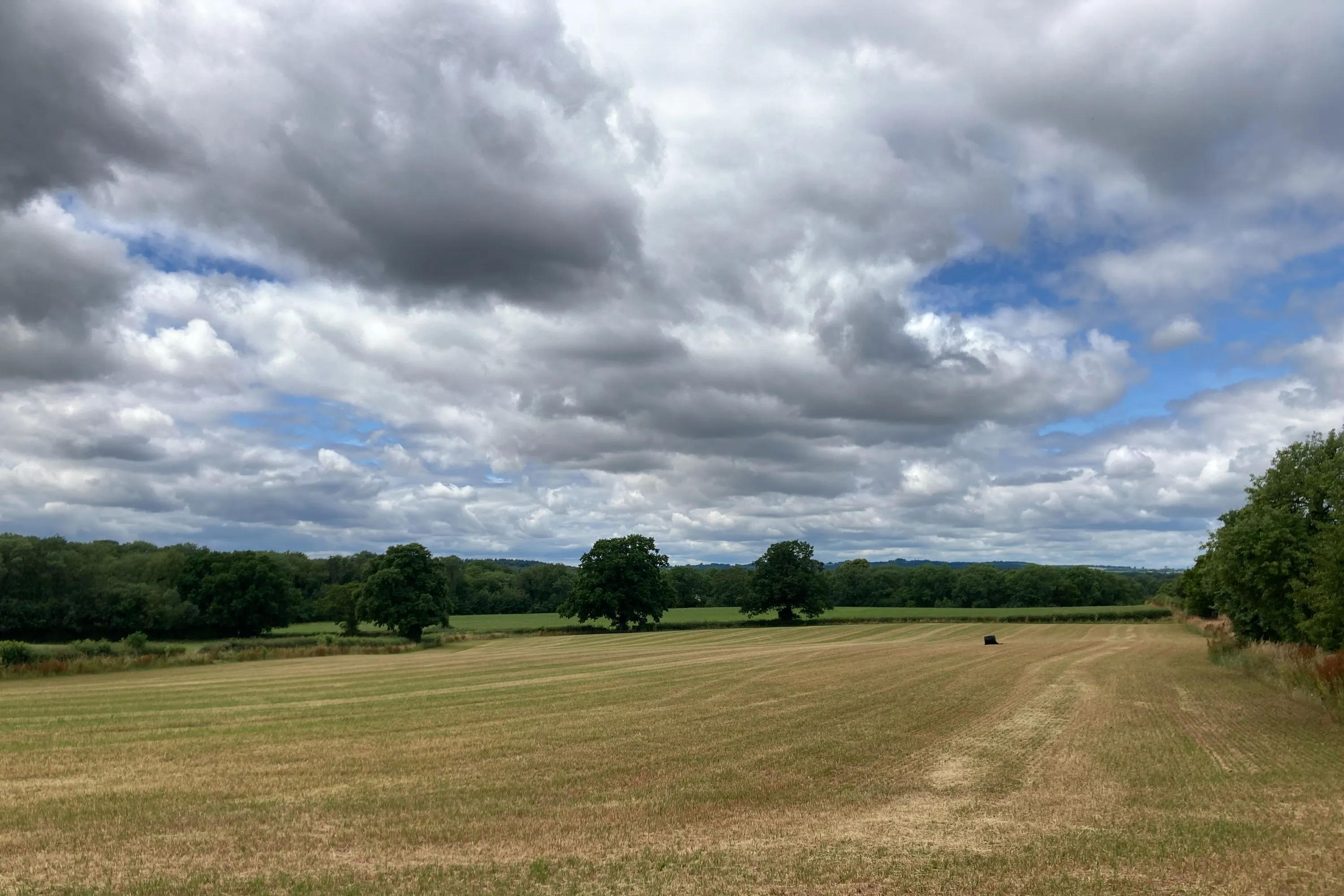 Farmland Adjacent to Boyce Court, Dymock, Nr Ledbury, GL18 2BG