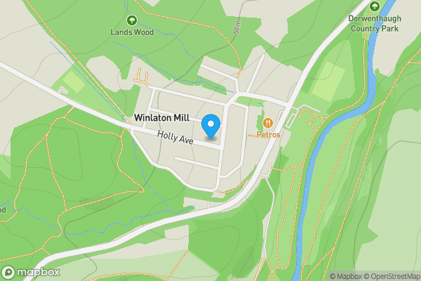7 Holly Avenue, Winlaton Mill, Blaydon-on-Tyne, Tyne And Wear, NE21 6SJ