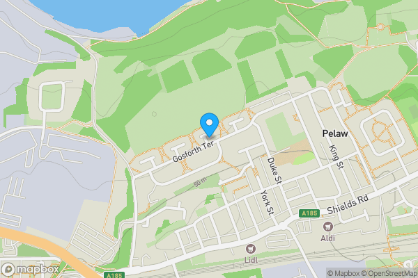 49 Gosforth Terrace, Gateshead, Tyne And Wear, NE10 0YL