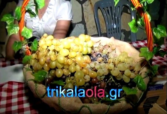Εγγραφή στο αμπελουργικό μητρώο αμπελοτεμαχίων μικρής έκτασης (100 τ.μ ...