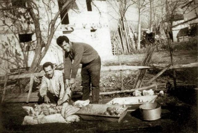 Η ΓΟΥΡΟΥΝΟΧΑΡΑ | Trikalaola.gr