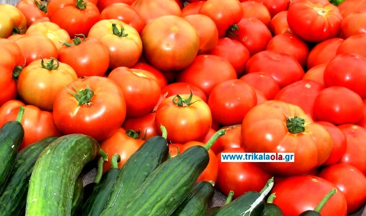 Η ενδιαφέρουσα ιστορία της τομάτας