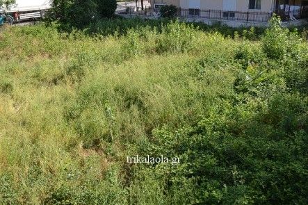 Κόψτε τα χόρτα από τα οικόπεδα σας! | Trikalaola.gr