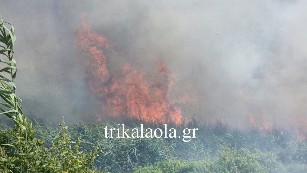 ΕΚΤΑΚΤΟ Πυρκαγιά σε εξέλιξη μεταξύ Διάσελλου και Αγρελιάς στα Τρίκαλα ...