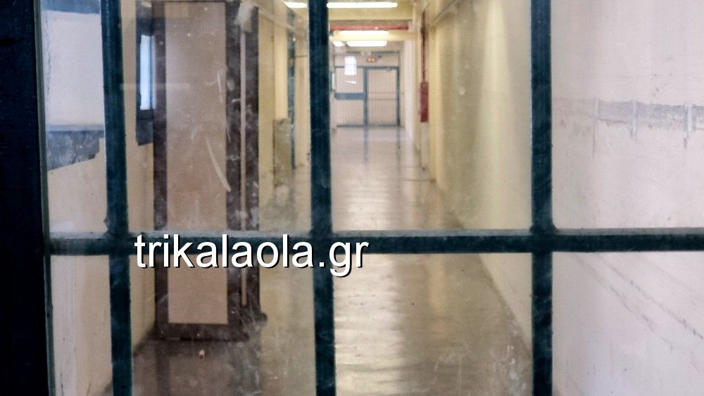 Στη φυλακή ο ιδιοκτήτης των σκυλιών που κατασπάραξαν την 50χρονη ...