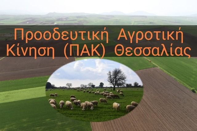 Οι δράσεις και οι δραστηριότητες της ΠΑΚ Θεσσαλίας στον έναν χρόνο ζωής ...