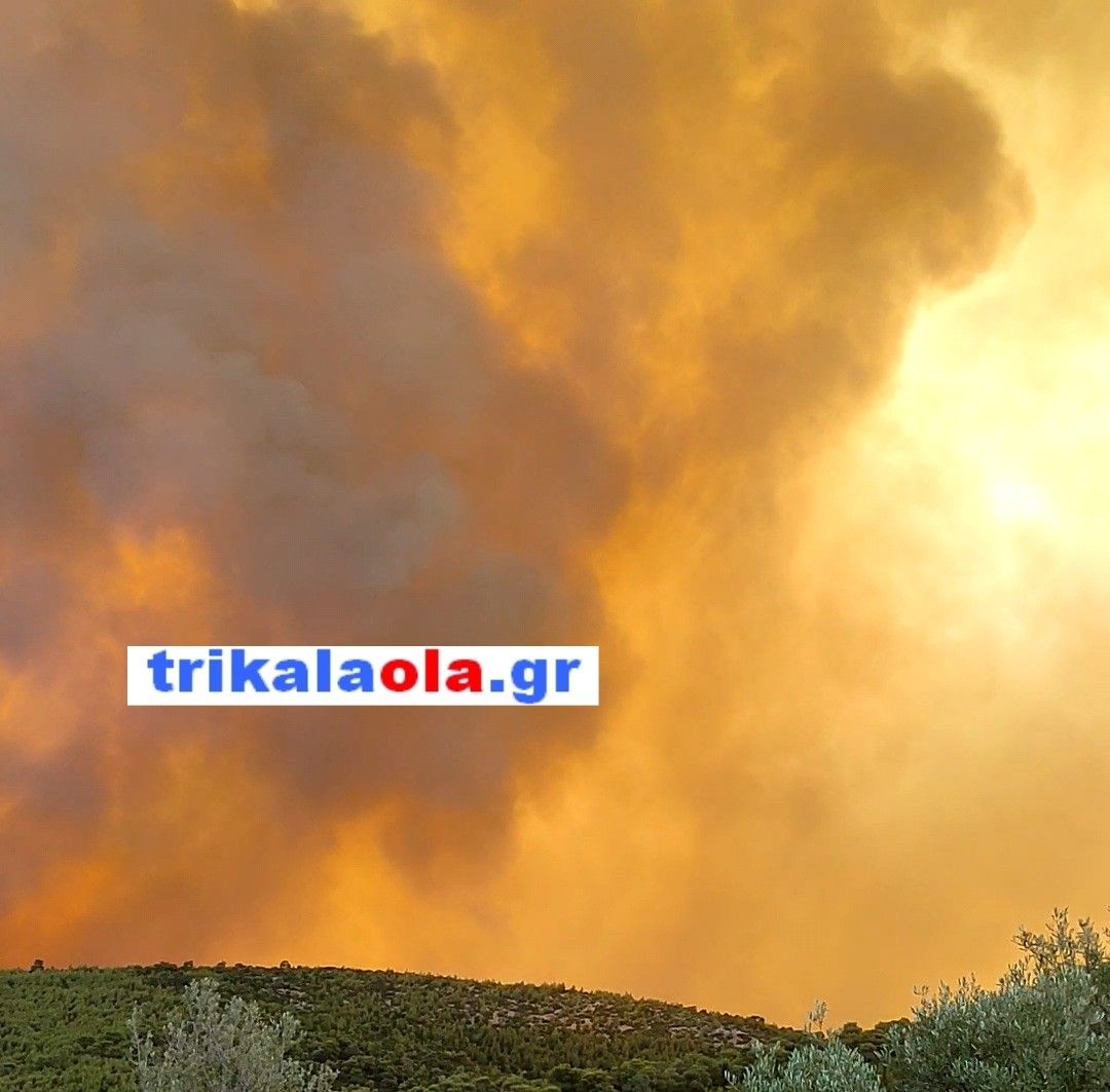 Ετοιμότητα για κίνδυνο πυρκαγιάς στην Περιφέρεια Θεσσαλίας