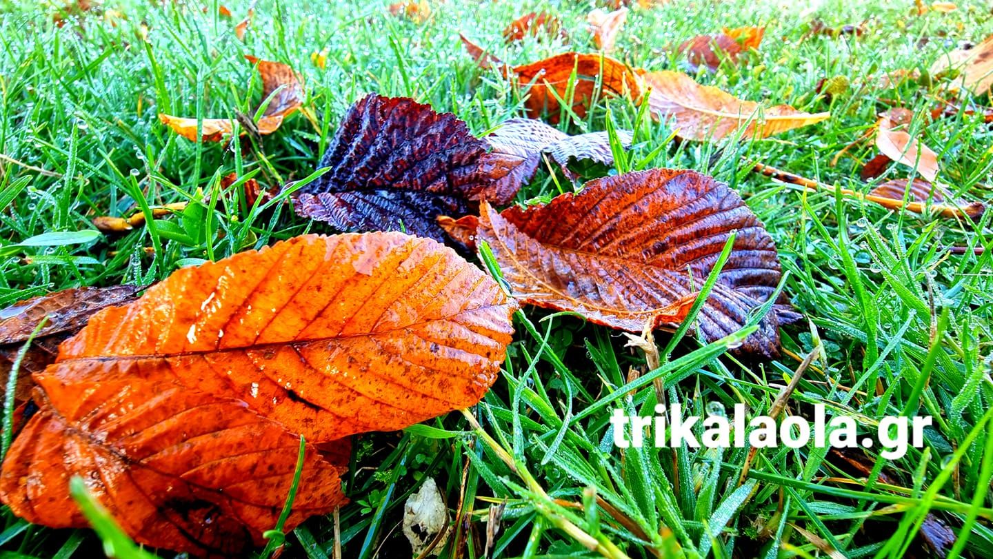 Οκτώβριος. Καλό μήνα | Trikalaola.gr