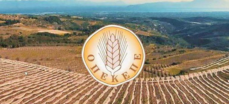 ΟΠΕΚΕΠΕ: Ξεκίνησαν οι αιτήσεις για διορθώσεις – τροποποιήσεις Ενιαίας ...