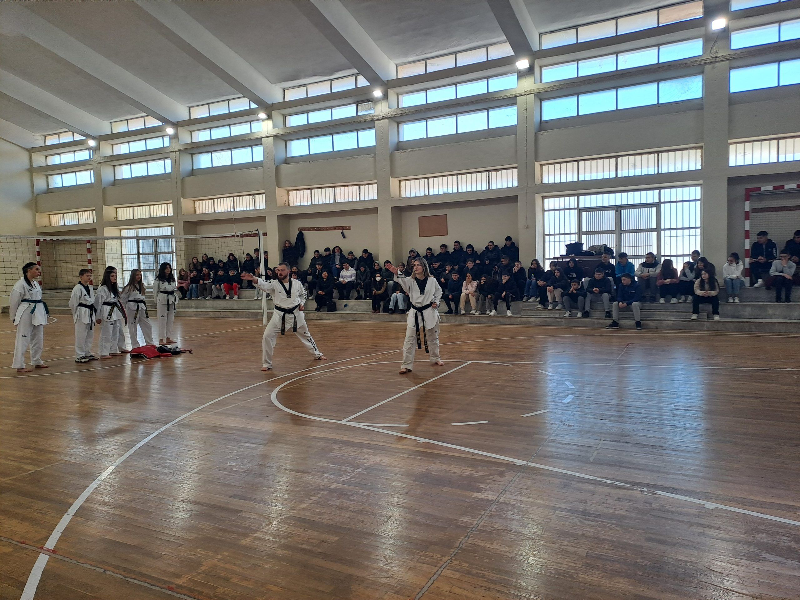 Παρουσίαση του Taekwondo (Τάε κβον ντο) στο 5ο Γυμνάσιο Τρικάλων [ΦΩΤΟ]