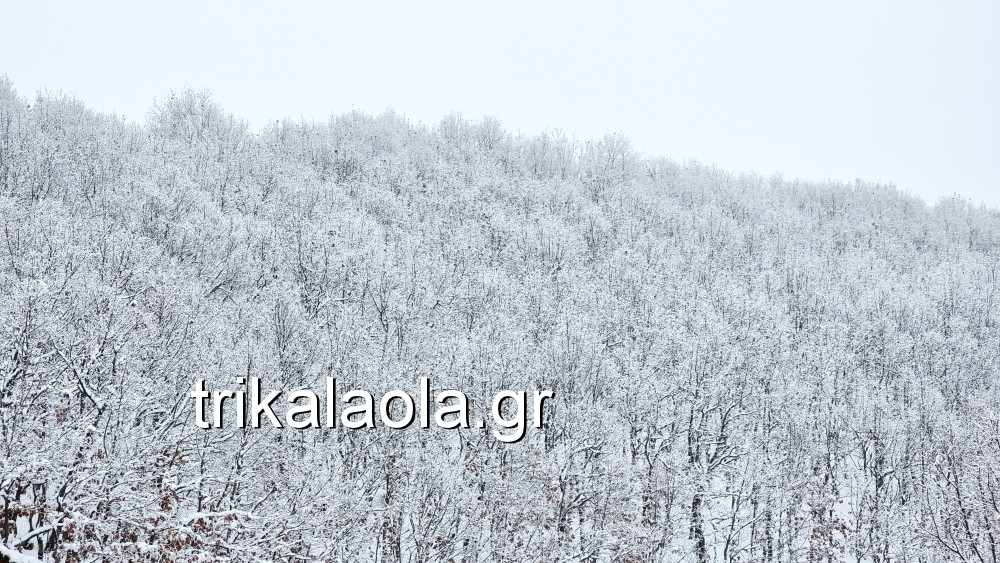 Όποιος δε θα φάει φασολάδα σήμερα ας πάει να δει φρέσκο χιονάκι στα ...