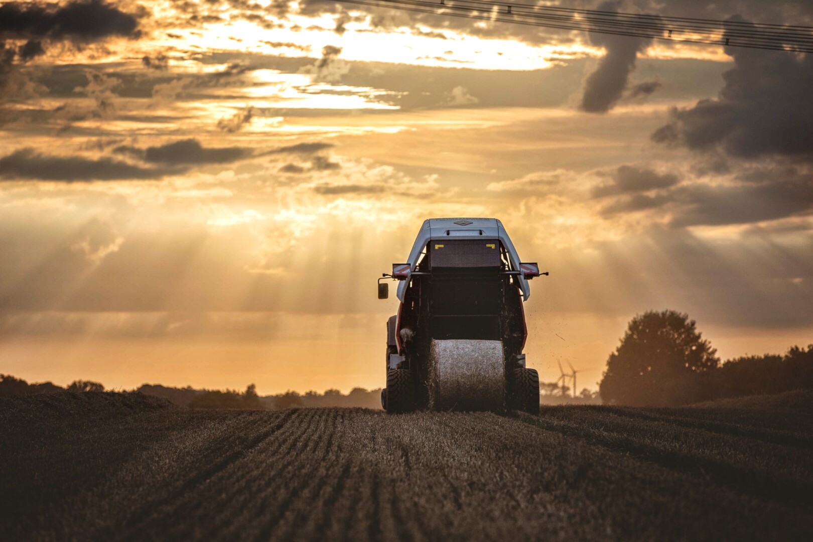 MV: Schönste Bilder von Feld und Stall gesucht » Wir sind Müritzer