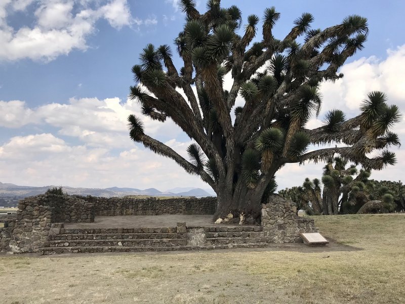 Tecoaque: Unesco Tentative Site Travel Guide