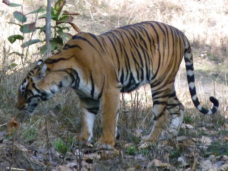 Khana Np: Former Unesco Tentative Site Travel Guide