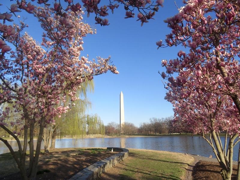 Washington Monument: Former Unesco Tentative Site Travel Guide