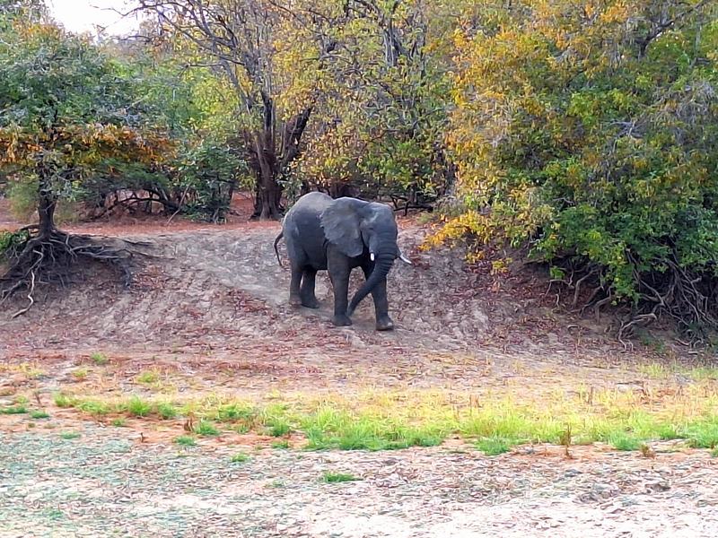 Parc National De Zakouma: Unesco Tentative Site Travel Guide