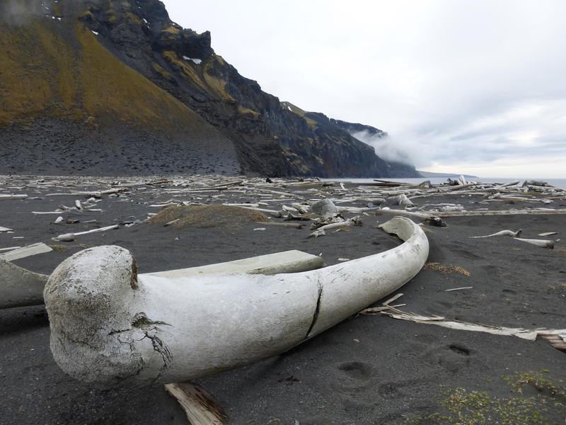 Islands Of Jan Mayen And Bouvet : Unesco Tentative Site Travel Guide
