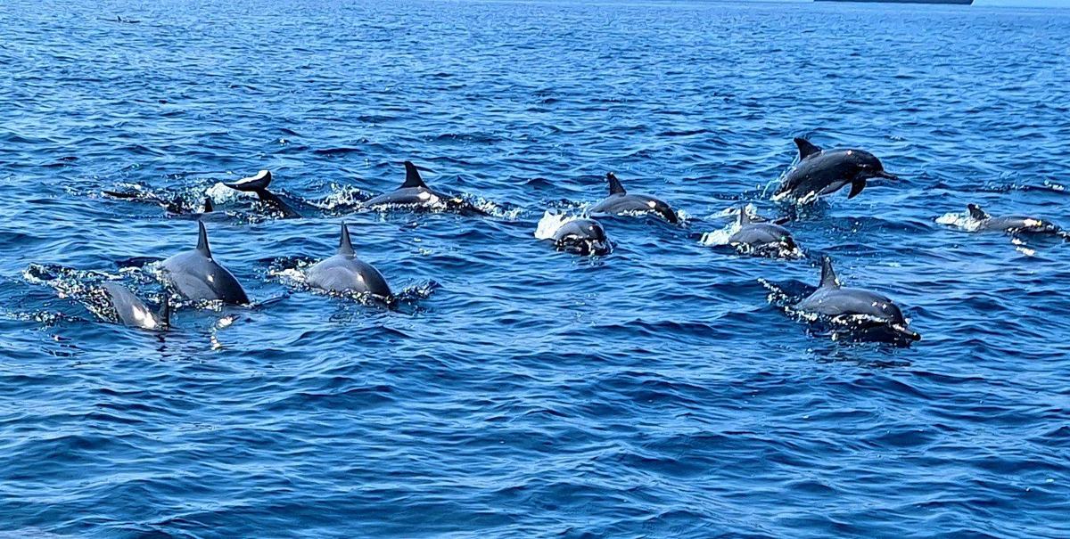 Les Îles Moucha Et Maskali: Unesco Tentative Site Travel Guide
