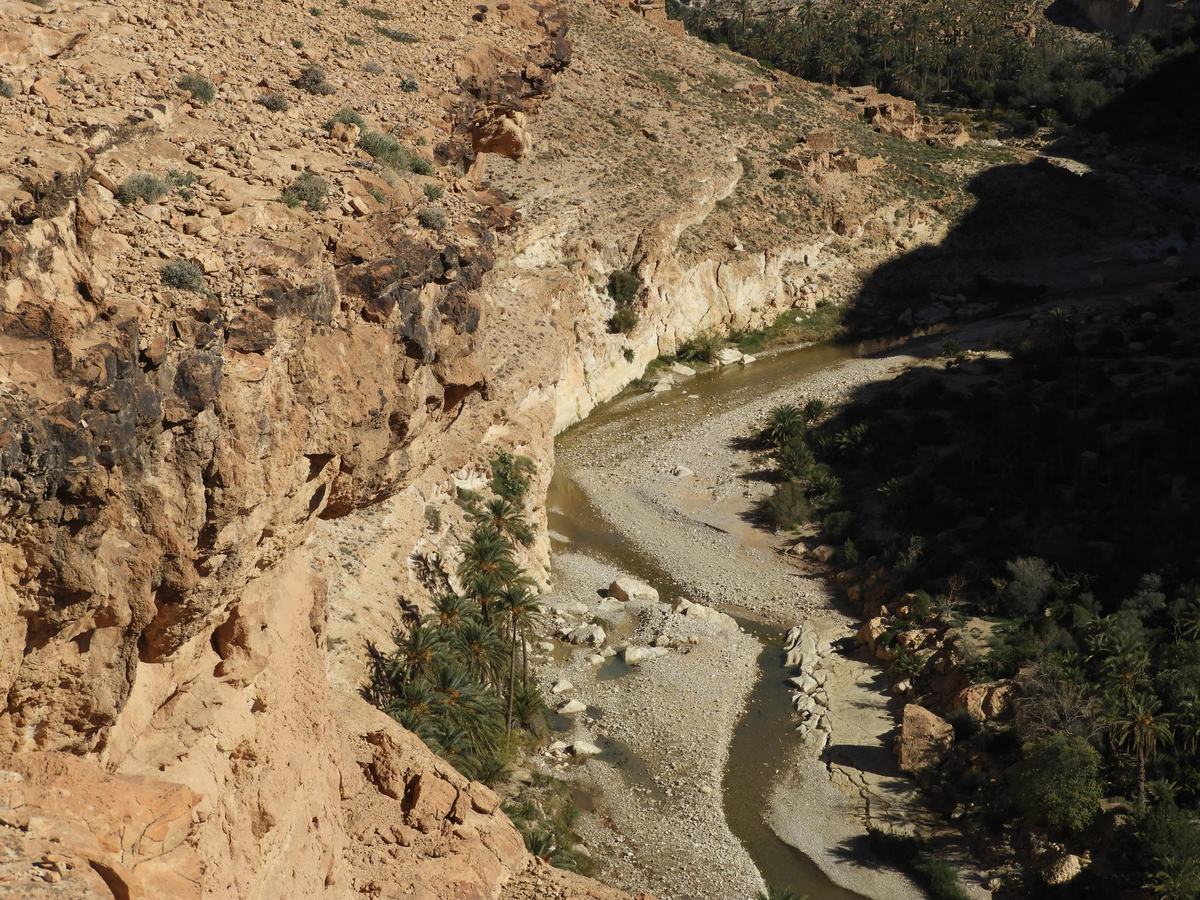 Les Systèmes Oasiens Des Gorges Du Rhoufi Et D'Oue: Unesco Tentative ...