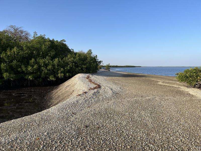 Saloum Delta: Unesco World Heritage Site Travel Guide