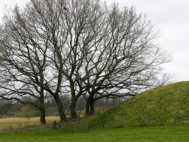 Hedeby And Danevirke: Unesco World Heritage Site Travel Guide