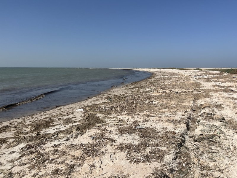 Banc D'Arguin: Unesco World Heritage Site Travel Guide