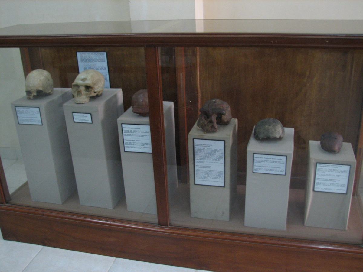 Sangiran Early Man Site: Unesco World Heritage Site Travel Guide